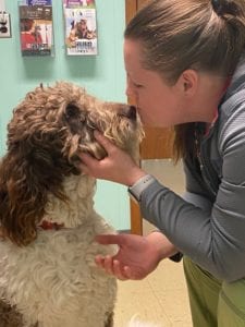 Suffolk Animal Hospital